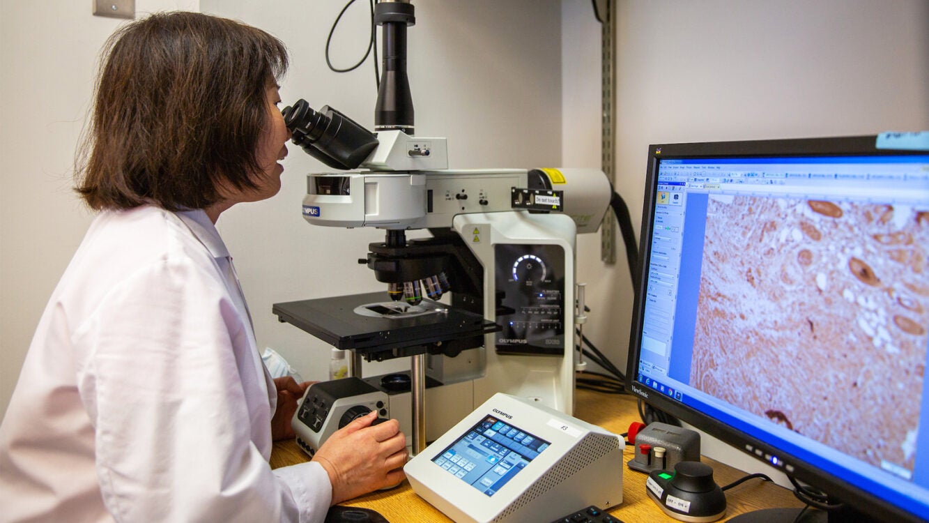Area of Focus: Cancer Research | Biomedical and Health Sciences ...